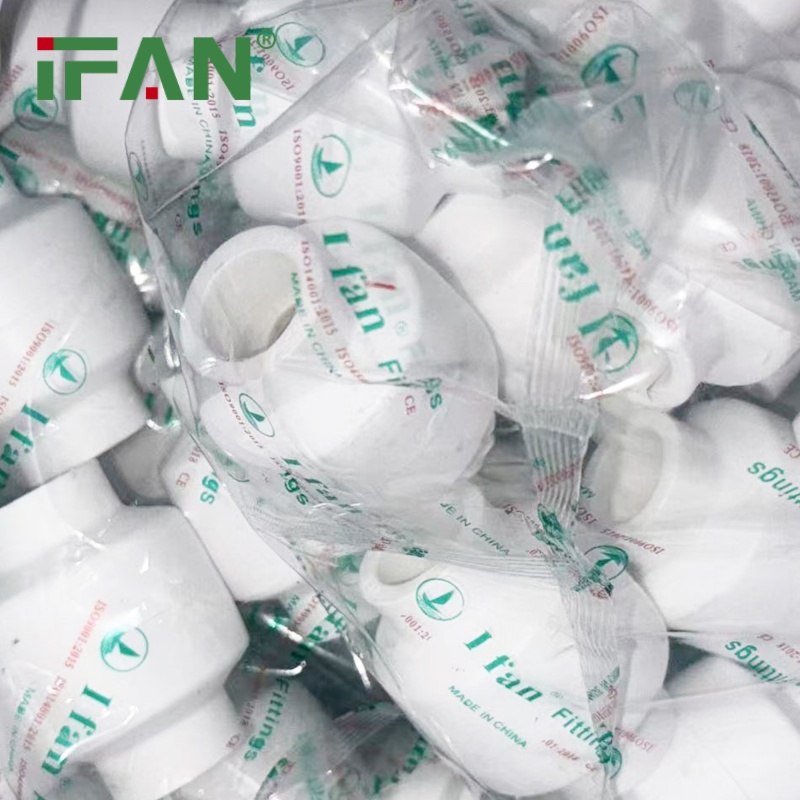 PPR Check Valve for Backflow Prevention - www.ifanpvc.com